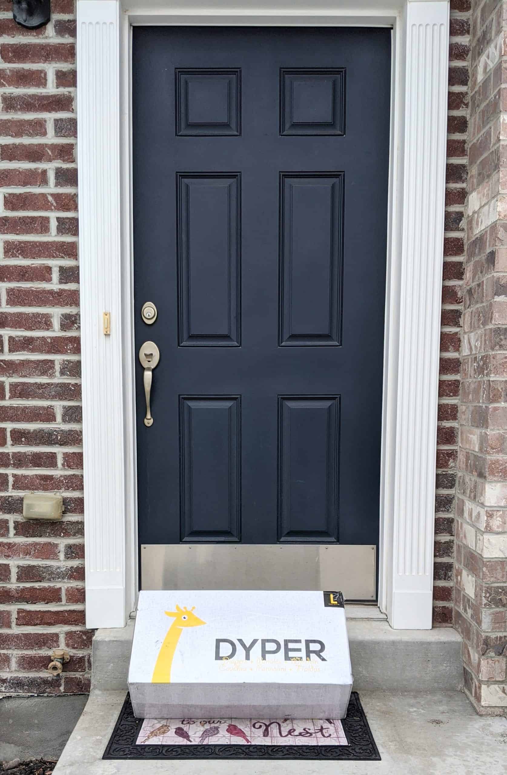 Dyper Review [2021 Update]: A Bamboo Diaper Subscription – Eco Living Now